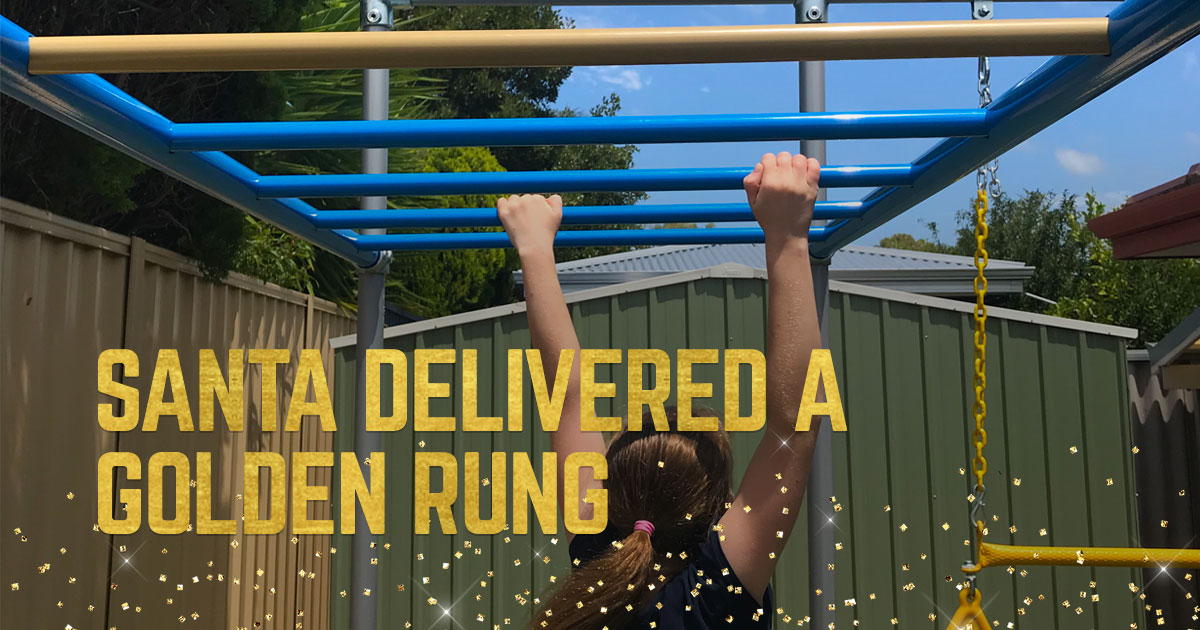 Santa Delivered A Golden Rung – Funky Monkey Bars